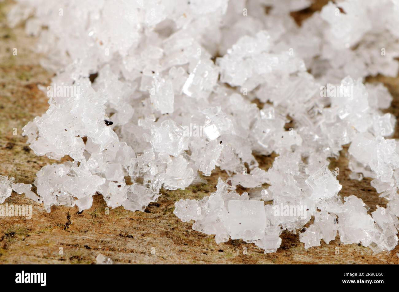Salt Fleur de Sel, salt flower, white sea salt from the Atlantic Ocean ...