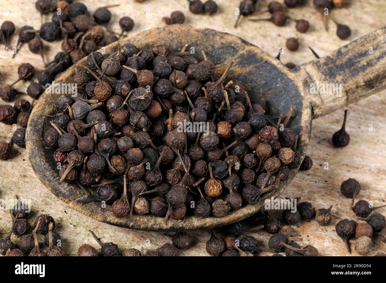 Cubeb pepper (Piper cubeba) , cubeb pepper, cubeb pepper Stock Photo ...