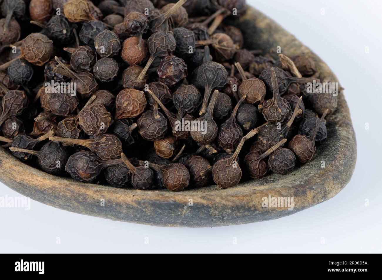 Cubeb pepper (Piper cubeba) , cubeb pepper, cubeb pepper Stock Photo ...