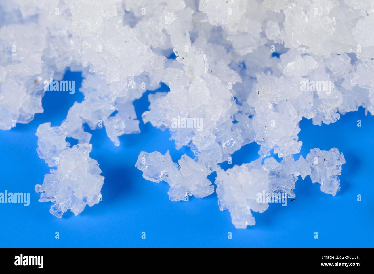 Salt Fleur de Sel, salt flower, white sea salt from the Atlantic Ocean ...