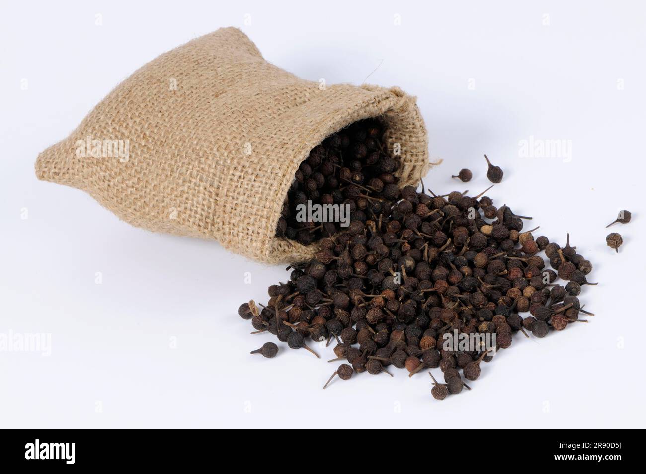 Cubeb pepper (Piper cubeba) , cubeb pepper, cubeb pepper Stock Photo ...