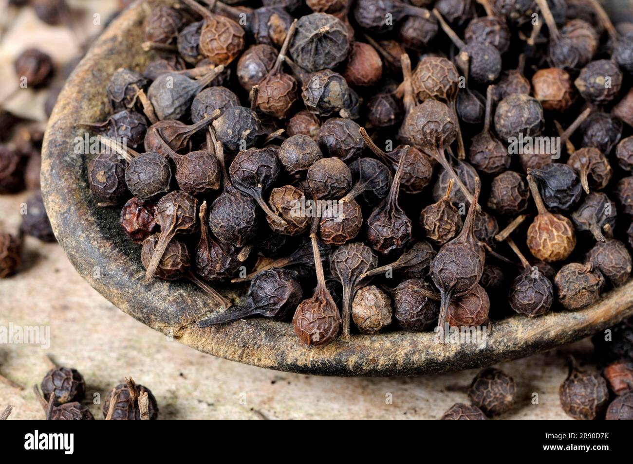 Cubeb pepper (Piper cubeba) , cubeb pepper, cubeb pepper Stock Photo ...