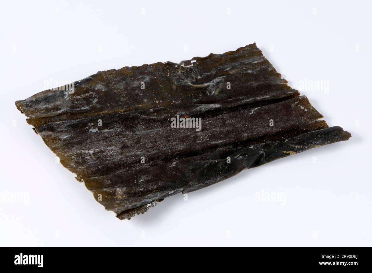 Seaweed cutout hi-res stock photography and images - Alamy