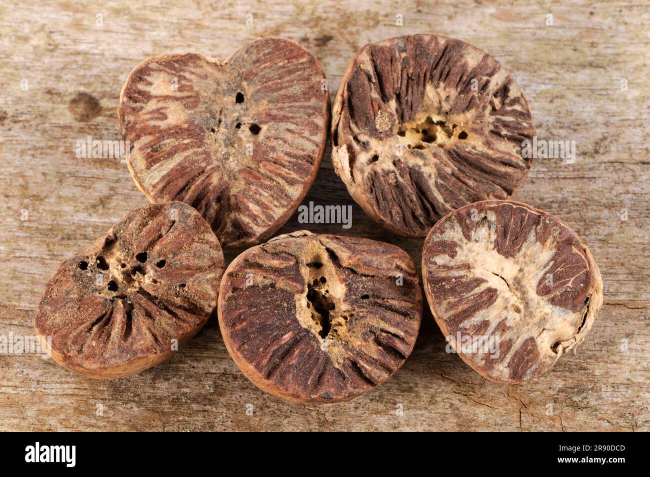 Betel Nuts (Areca catechu Stock Photo - Alamy