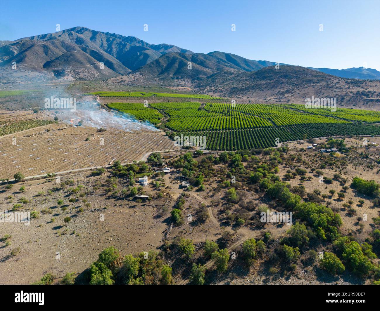 Aerial view of citriculture in Petorca in Chile, South America ...