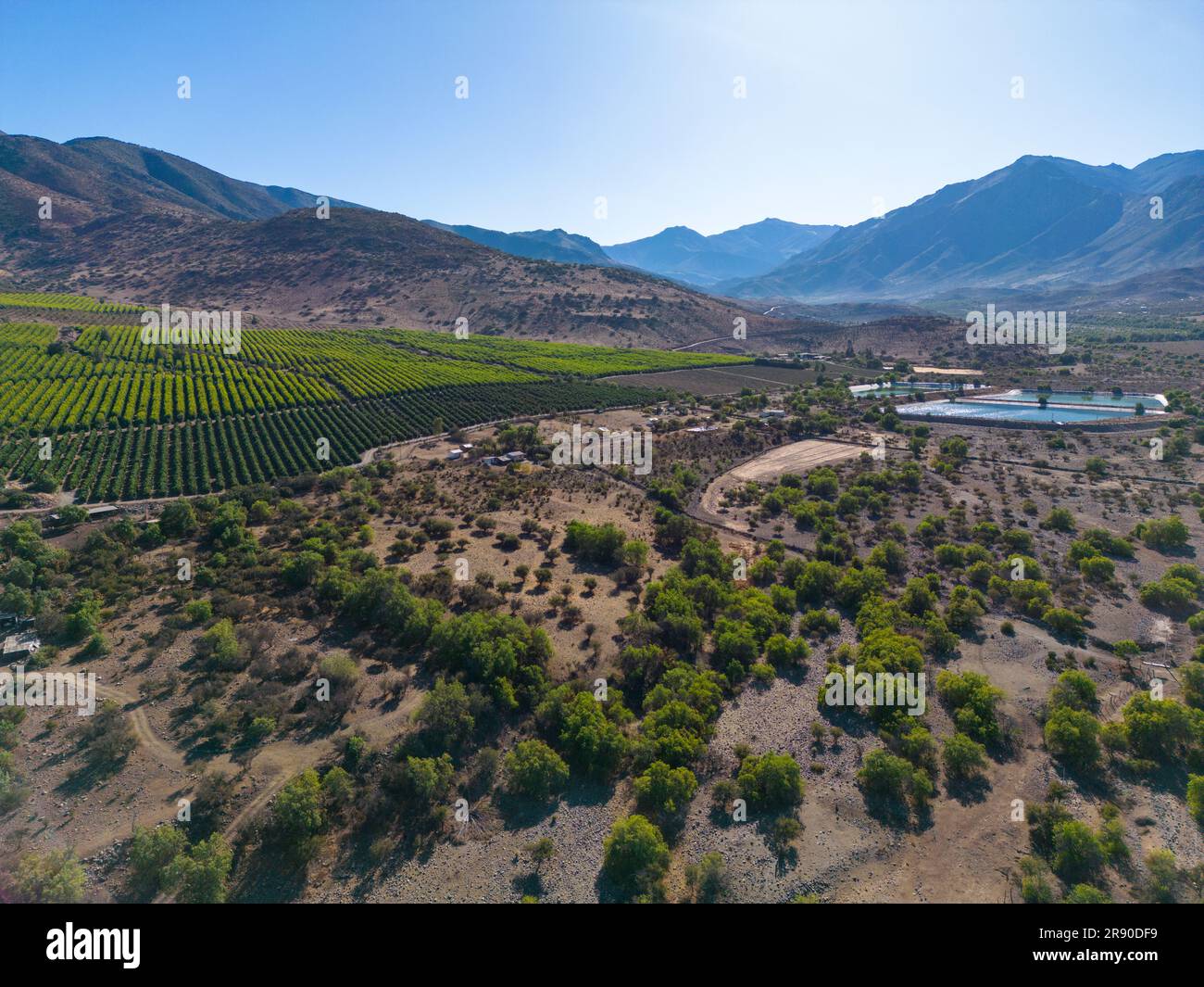 Aerial view of citriculture in Petorca in Chile, South America ...