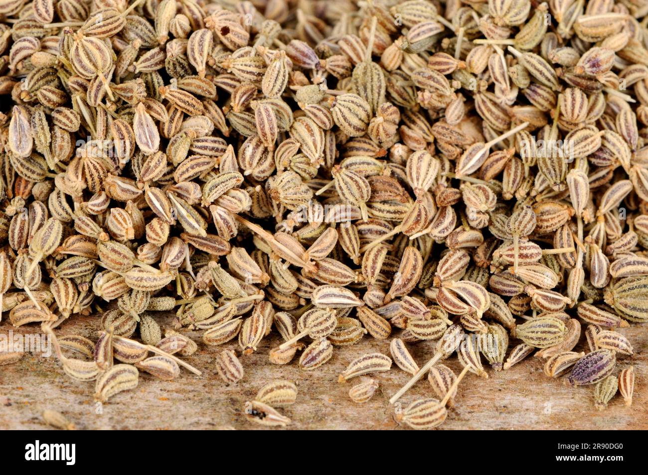 Ajowan seed hi-res stock photography and images - Alamy