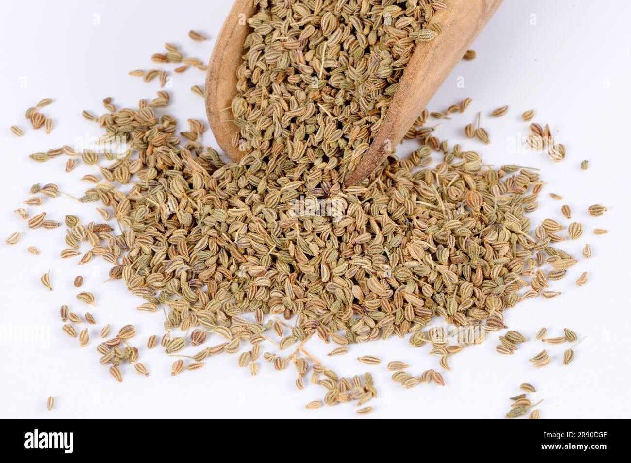 Ajowan seeds ajwain seeds hi-res stock photography and images - Alamy