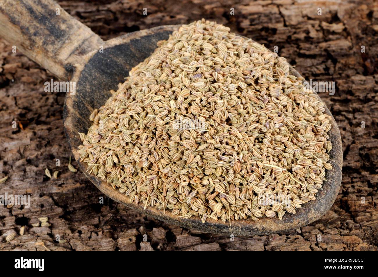 Ajwain seeds hi-res stock photography and images - Alamy