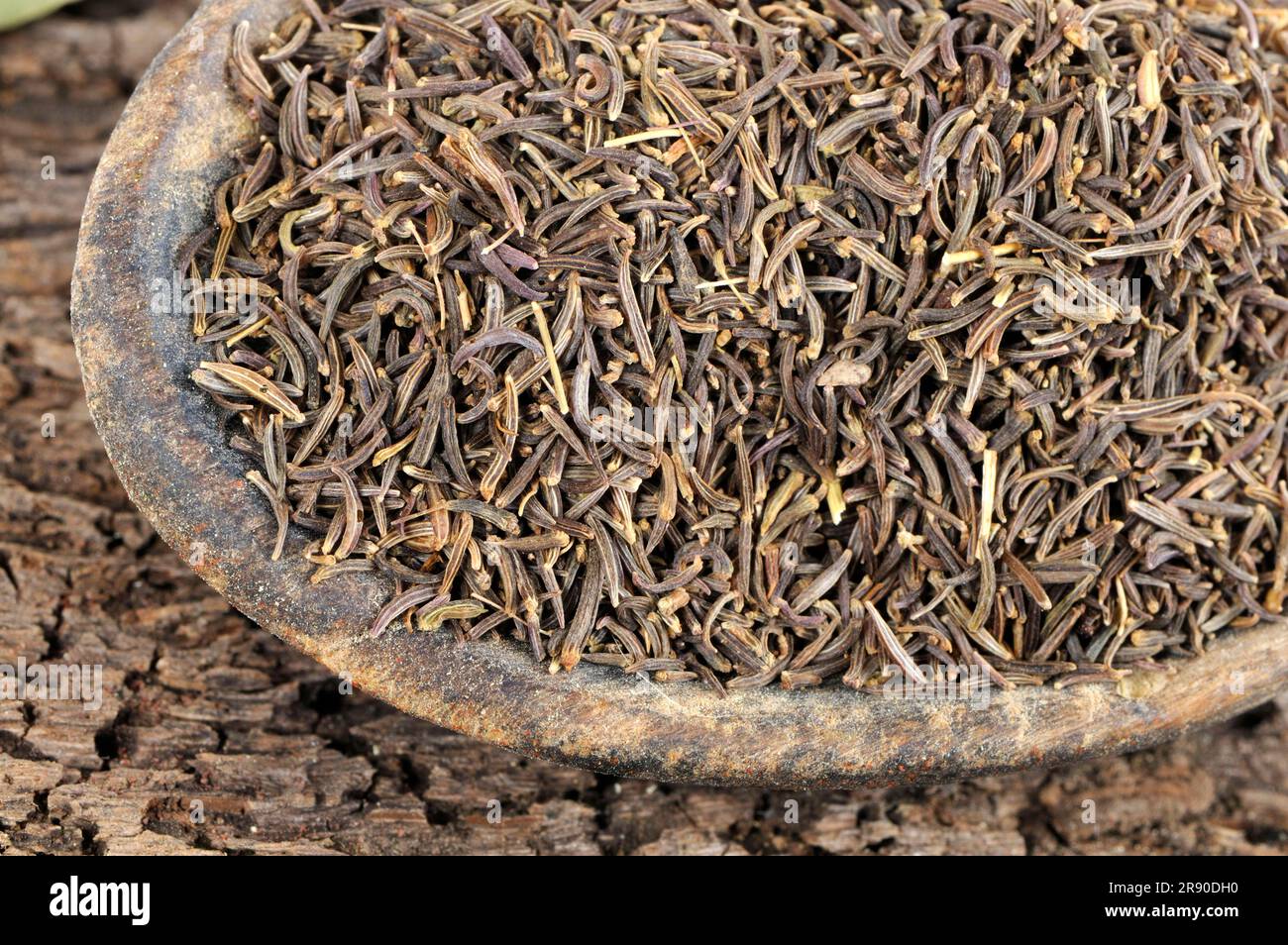 Cumin seed hi-res stock photography and images - Alamy
