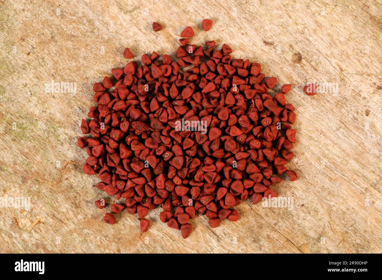 Achiote seed hi-res stock photography and images - Alamy