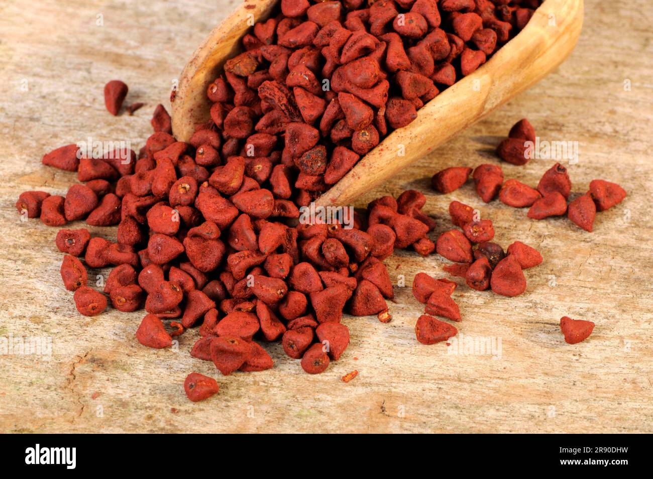 Orlean seed, annatto seed, annatto seed, natural dye Stock Photo - Alamy