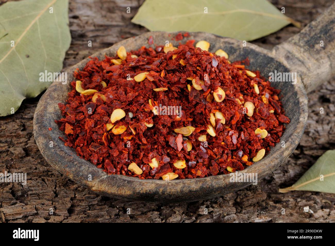 Hot pepper chilli capsicum annuum hi-res stock photography and images ...