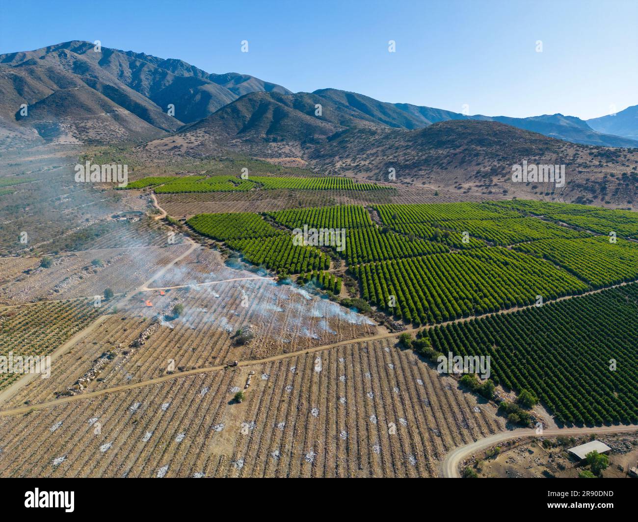 Aerial view of citriculture in Petorca in Chile, South America ...