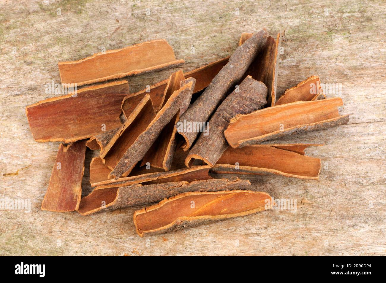 Cinnamon, bark (Cinnamomun Stock Photo - Alamy