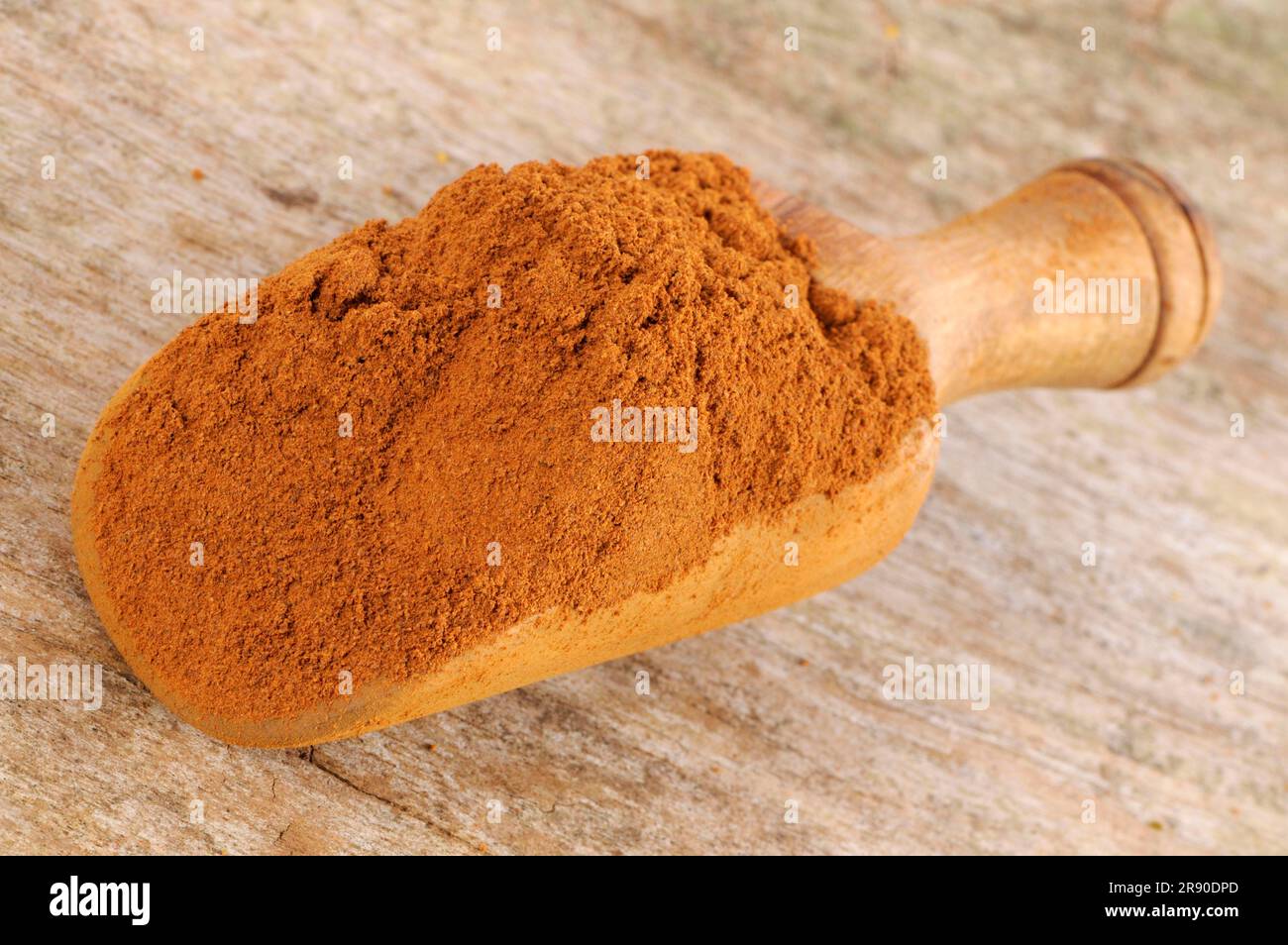 Cinnamon (Cinnamomum), cinnamon powder Stock Photo - Alamy