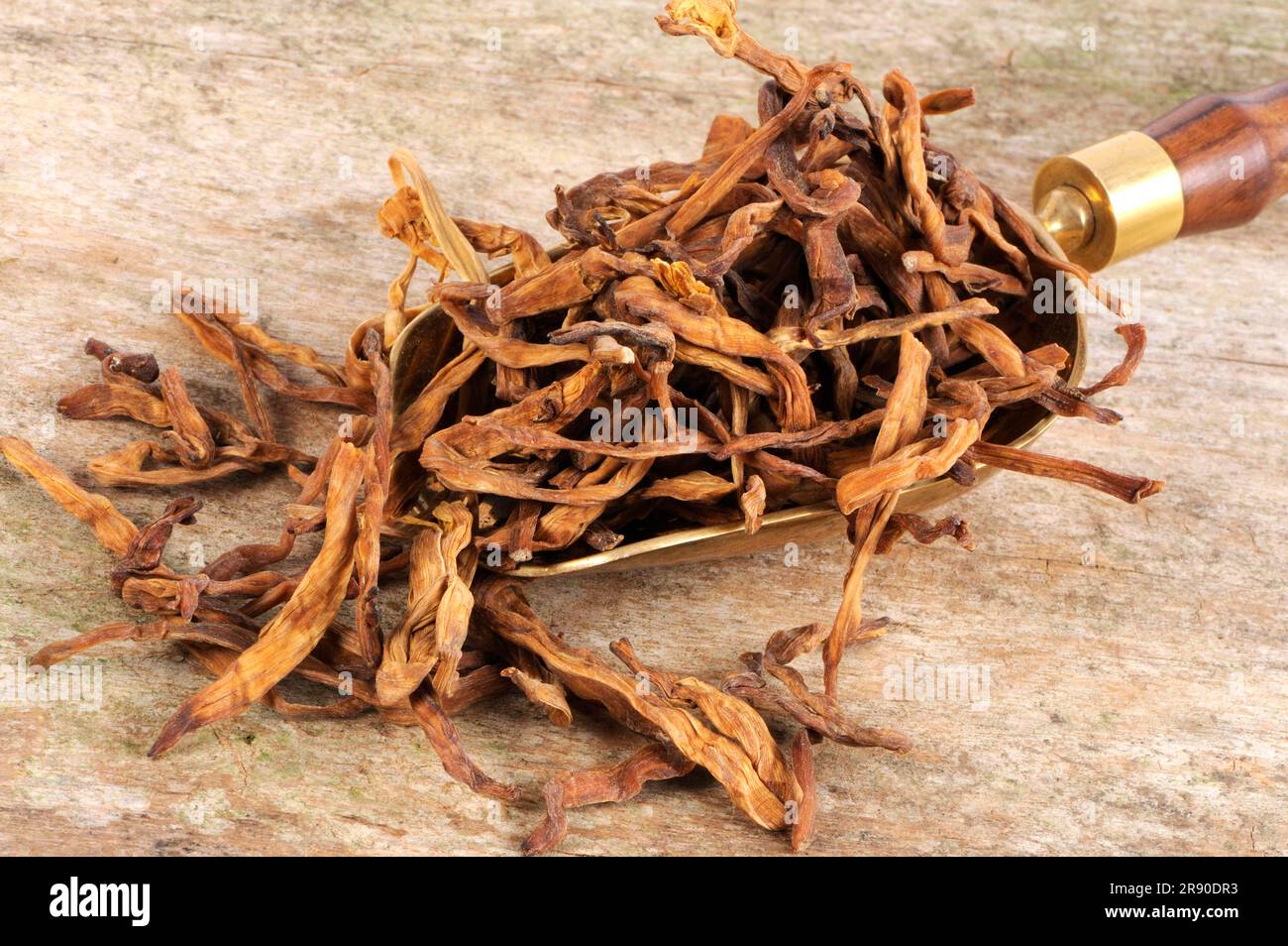 Spice lily hi-res stock photography and images - Alamy