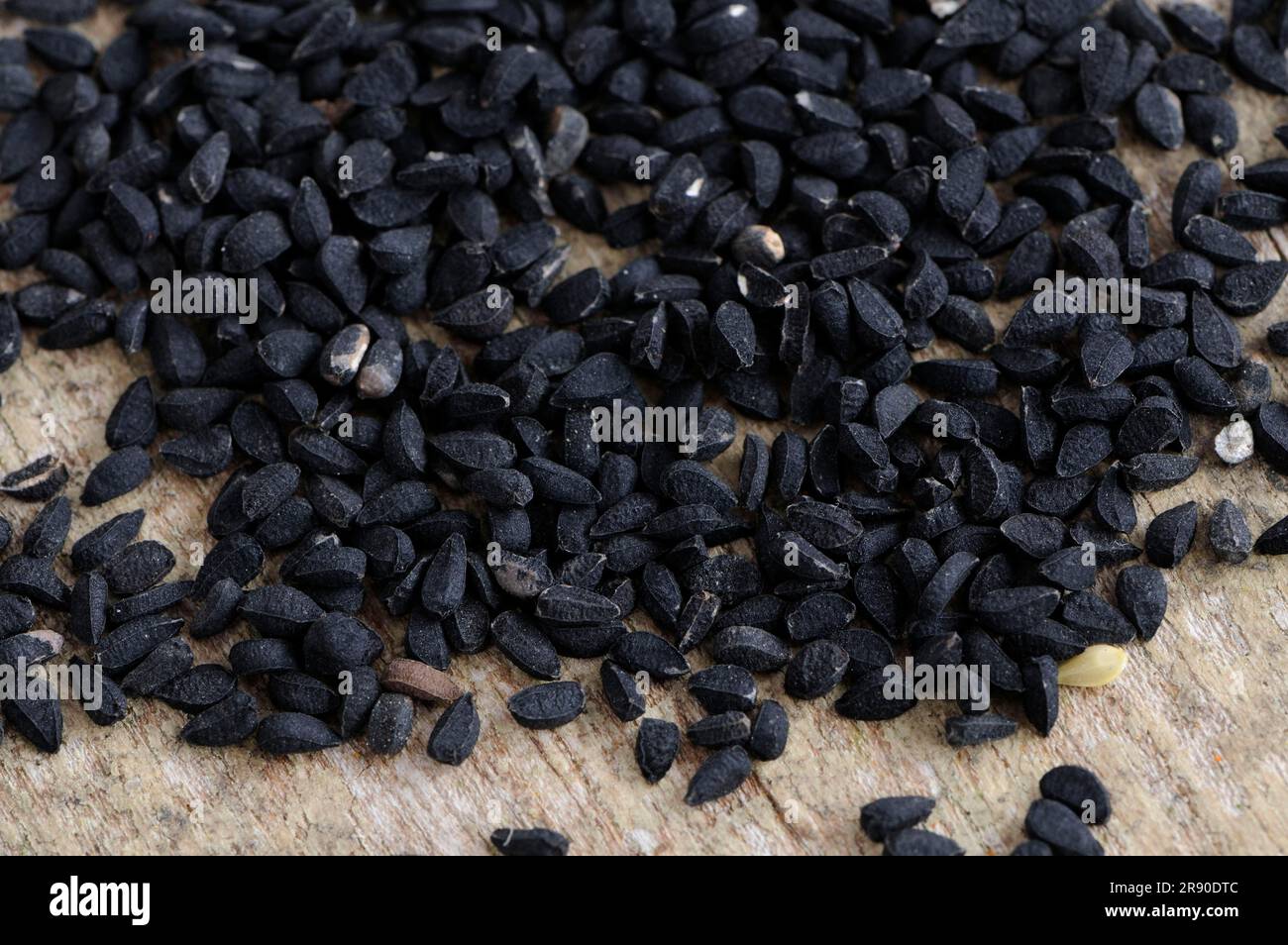Egyptian black cumin, seed, Black cumin (Nigella sativa Stock Photo - Alamy