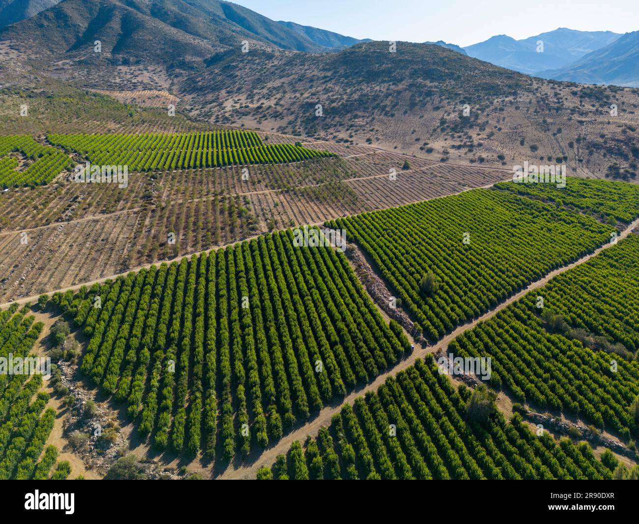Aerial view of citriculture in Petorca in Chile, South America ...