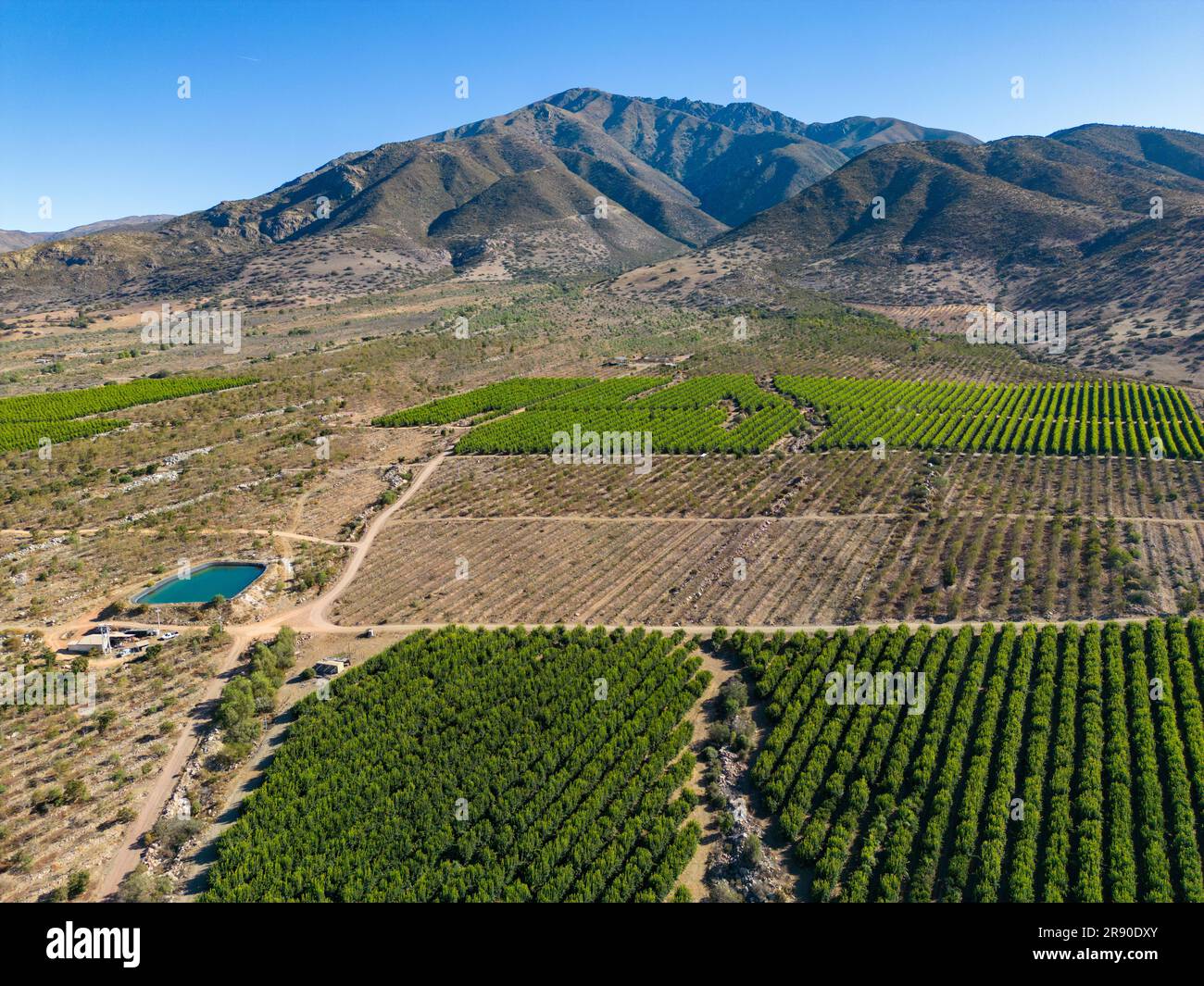 Aerial view of citriculture in Petorca in Chile, South America ...