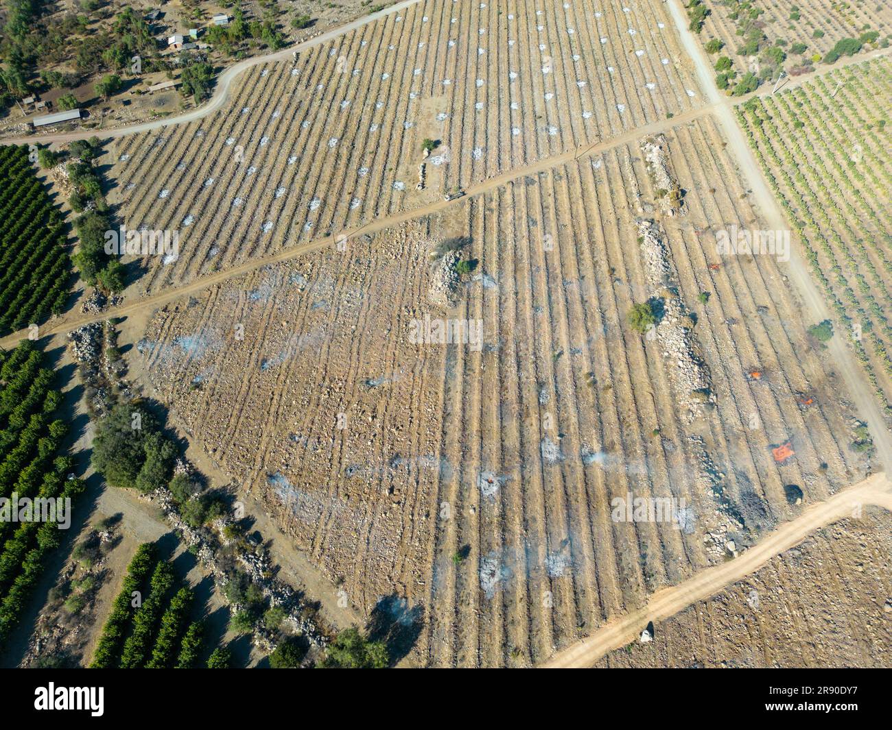 Aerial view of citriculture in Petorca in Chile, South America ...