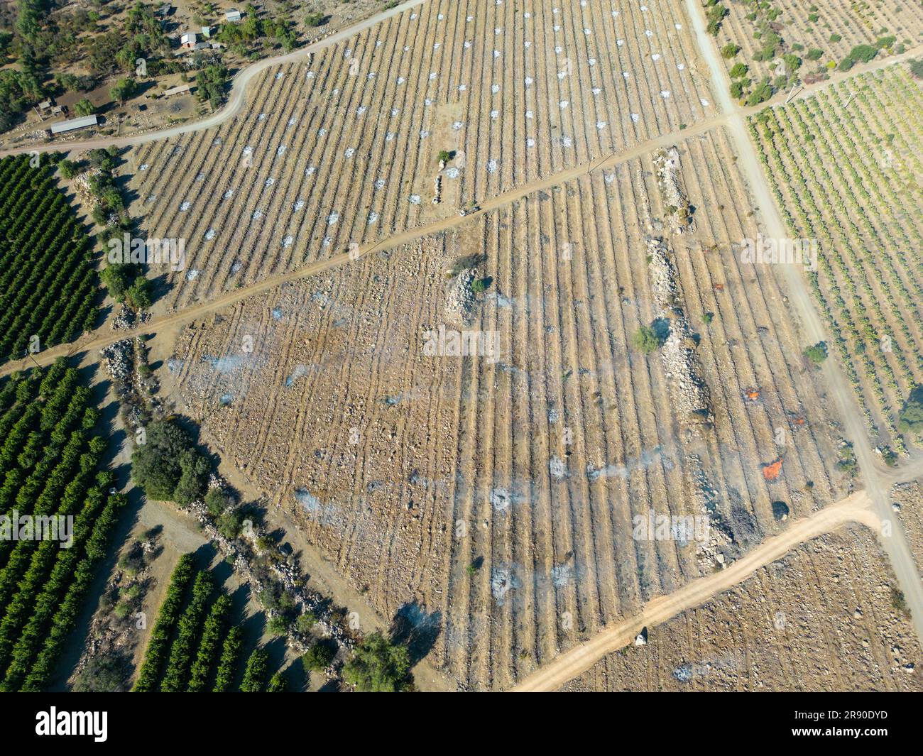 Aerial view of citriculture in Petorca in Chile, South America ...