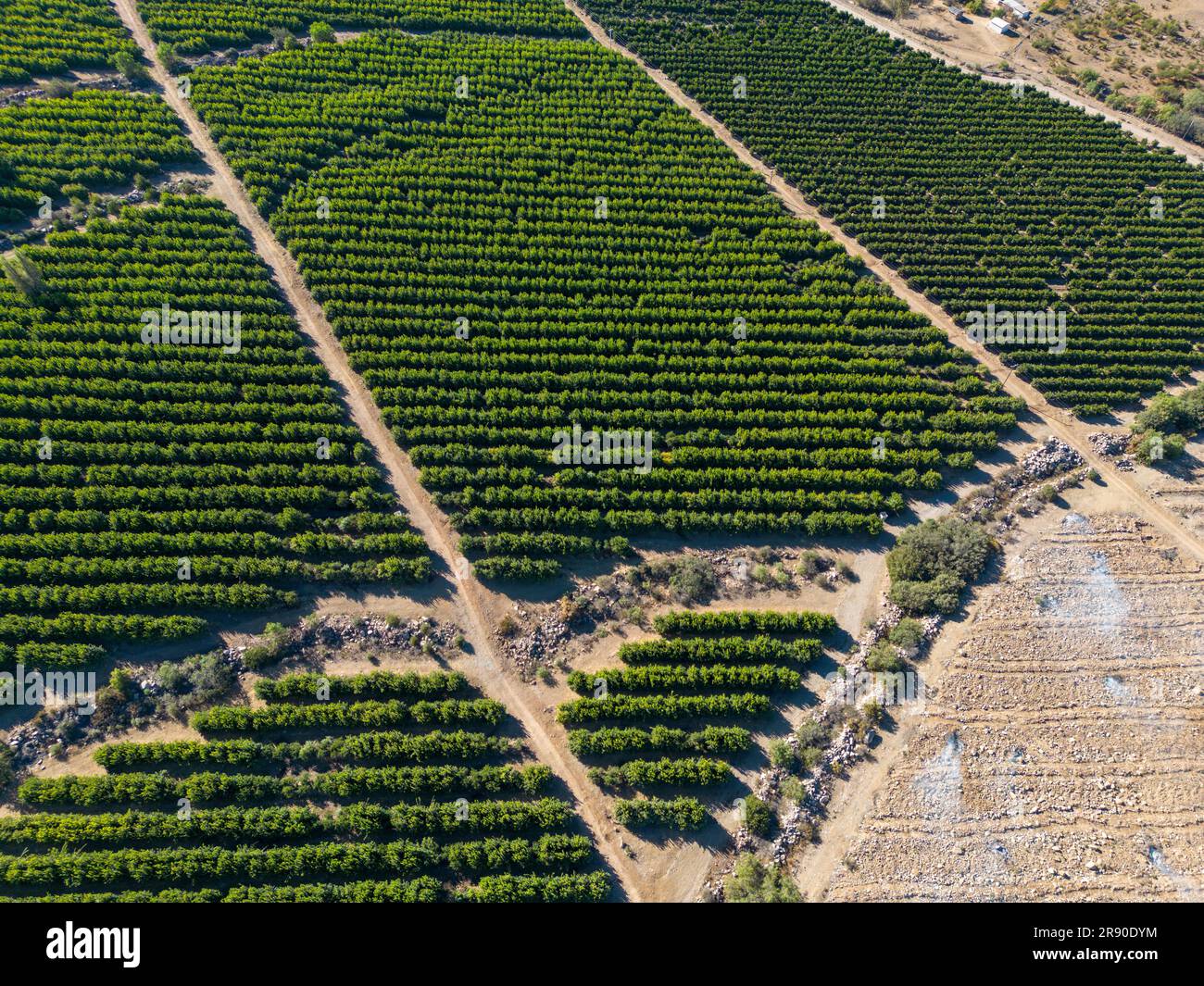 Aerial view of citriculture in Petorca in Chile, South America ...
