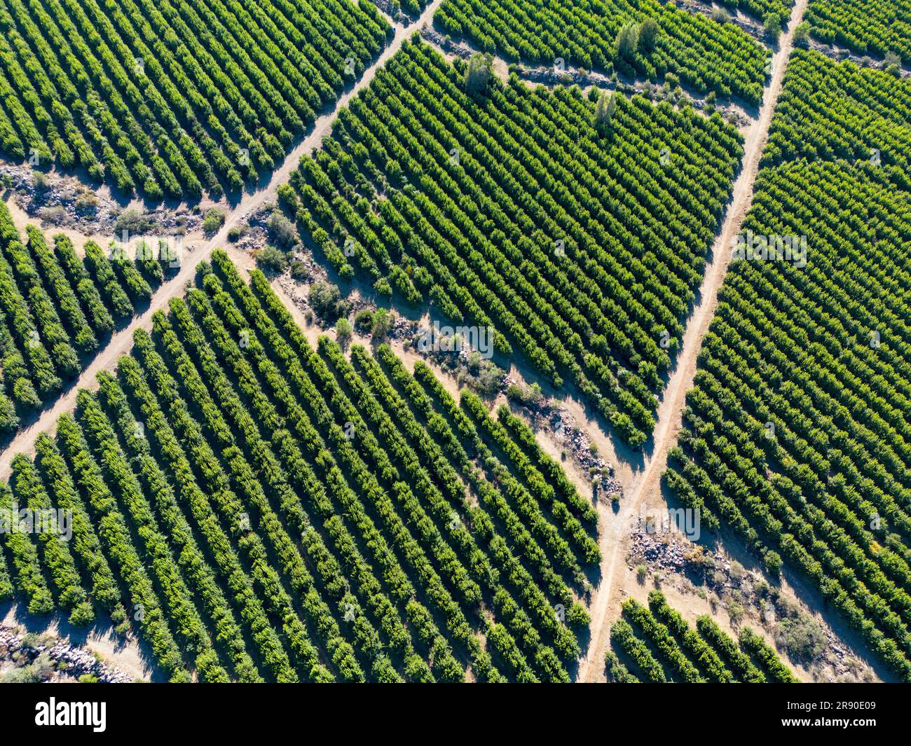 Aerial view of citriculture in Petorca in Chile, South America ...