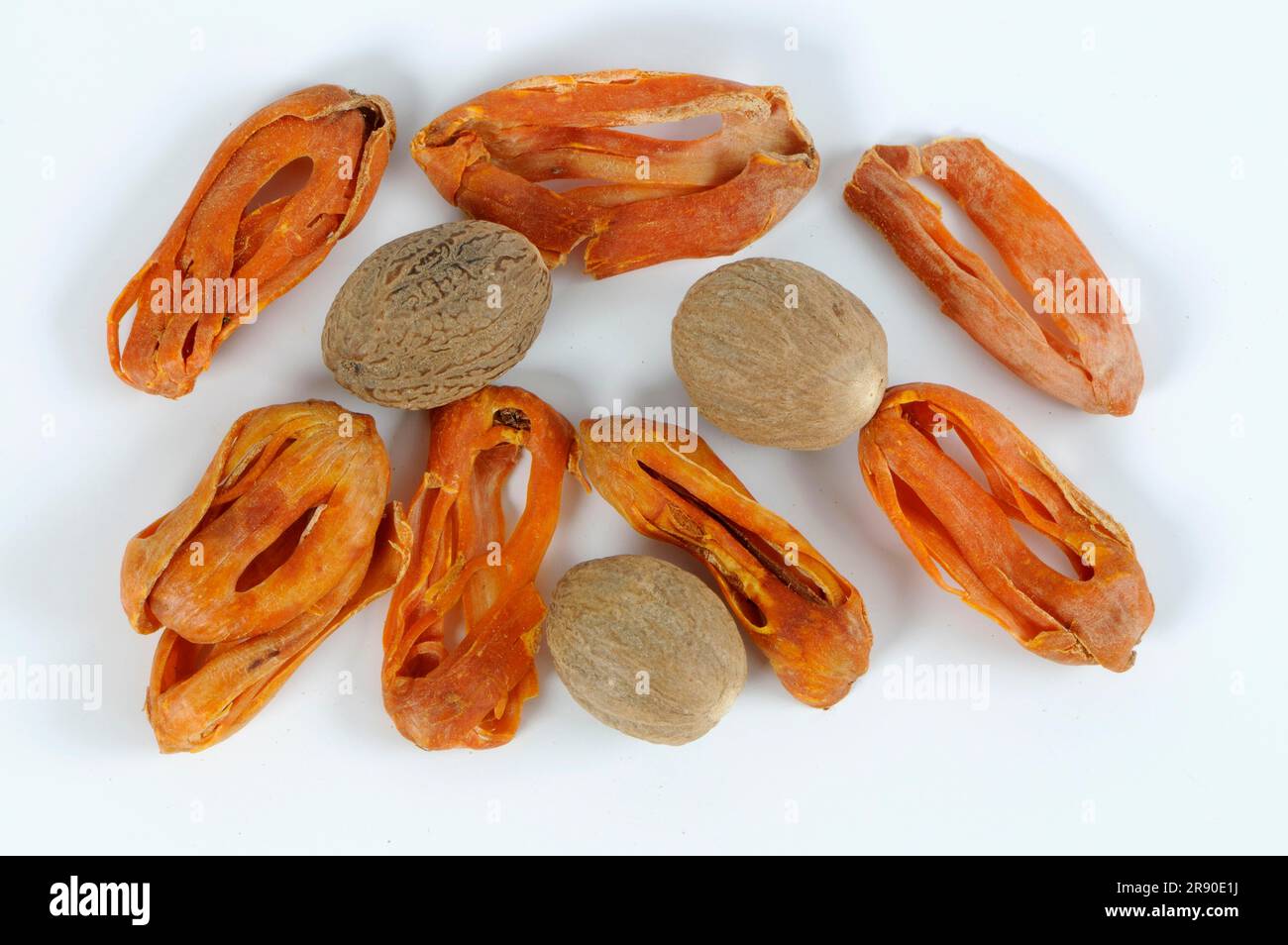 Nutmeg and mace (Myristica fragrans), mace Stock Photo - Alamy
