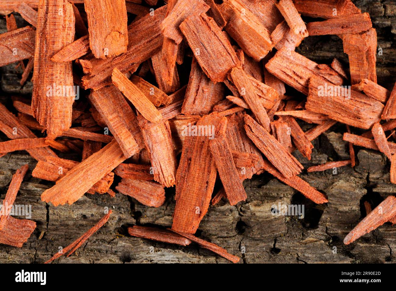 Pterocarpus santalinus (Pterocarpus santalinus) sandalwood tree, potash ...