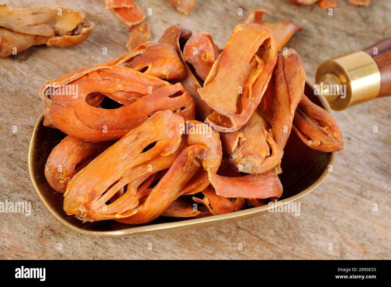 Mace (Myristica fragrans Stock Photo - Alamy