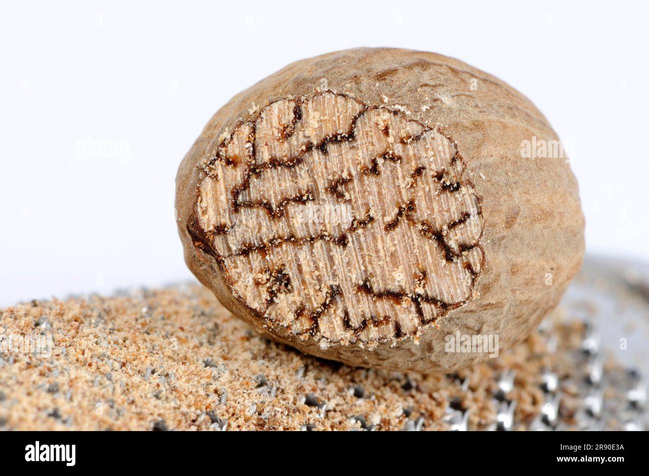 Nutmeg botany hi-res stock photography and images - Alamy