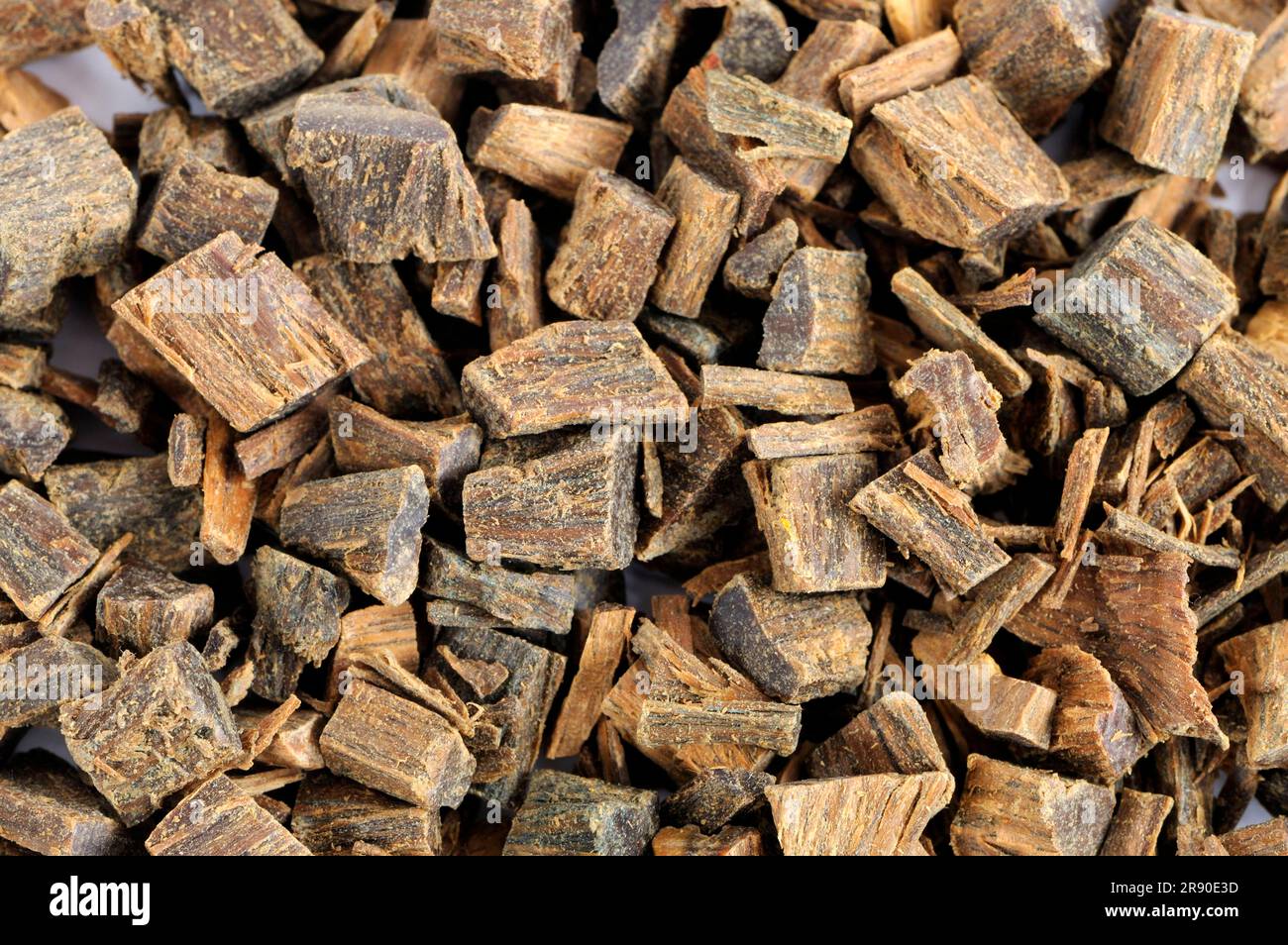 Guaiac wood (Guajacum officinale), guaiac tree, pock wood, pox wood ...