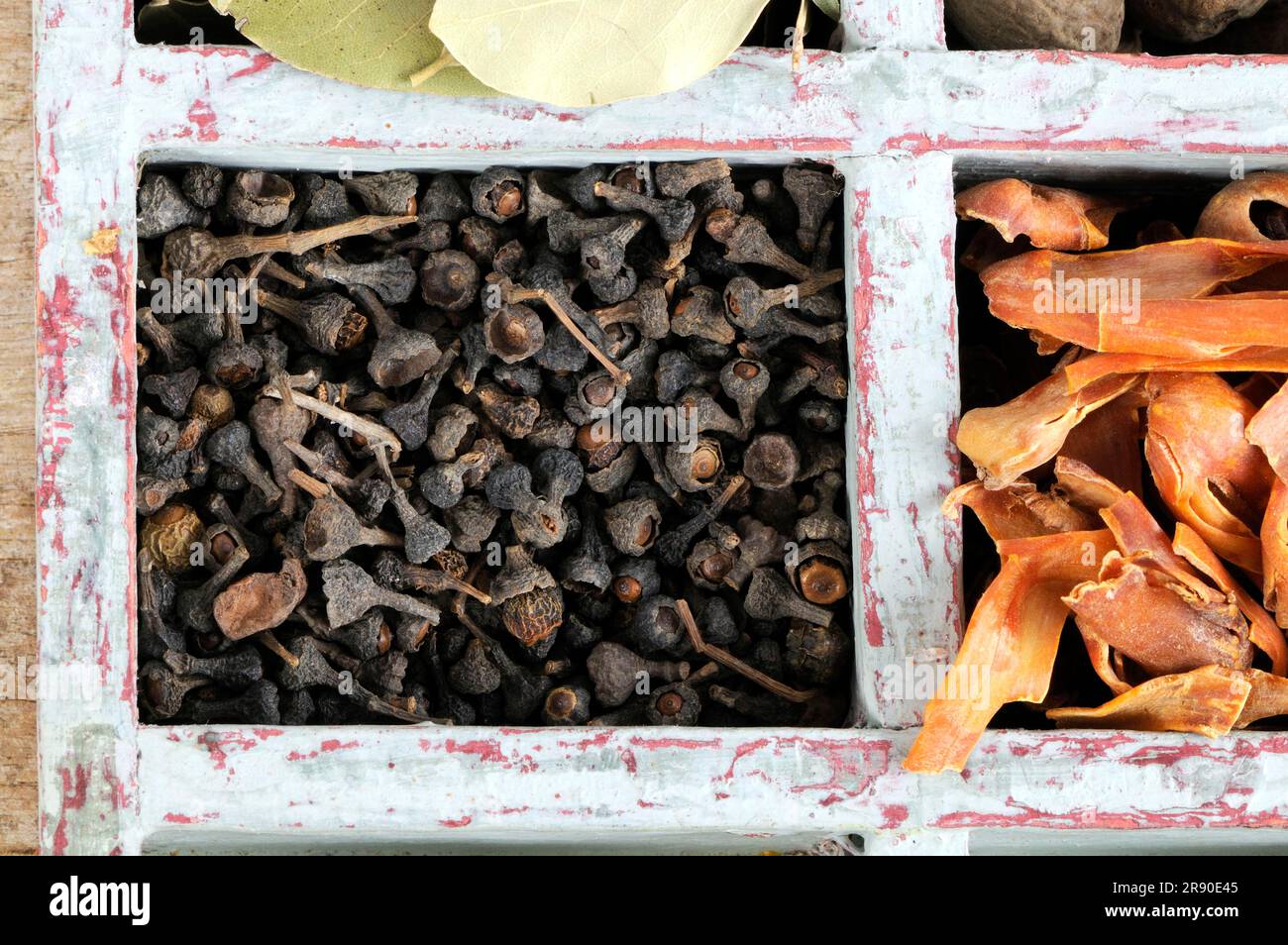 Cinnamon flower (Cinnamomum Stock Photo - Alamy