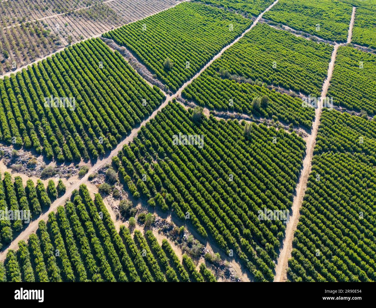 Aerial view of citriculture in Petorca in Chile, South America ...