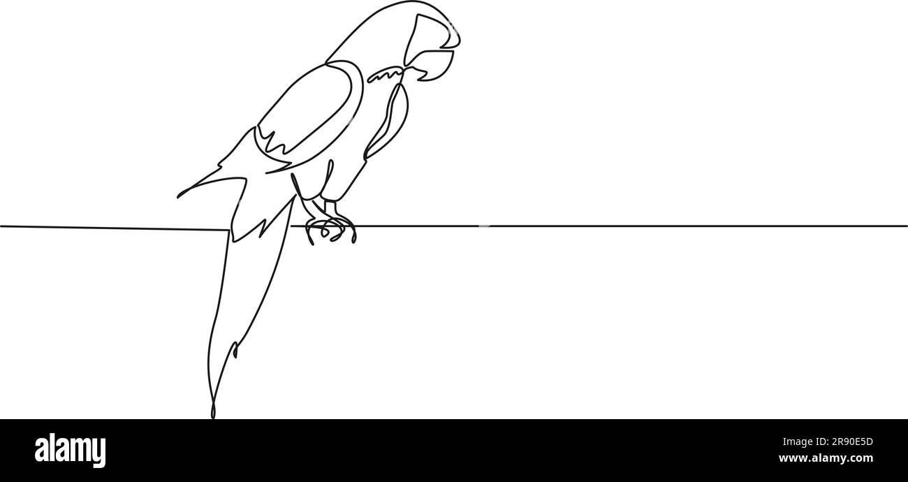 Bird line drawing hi-res stock photography and images - Alamy