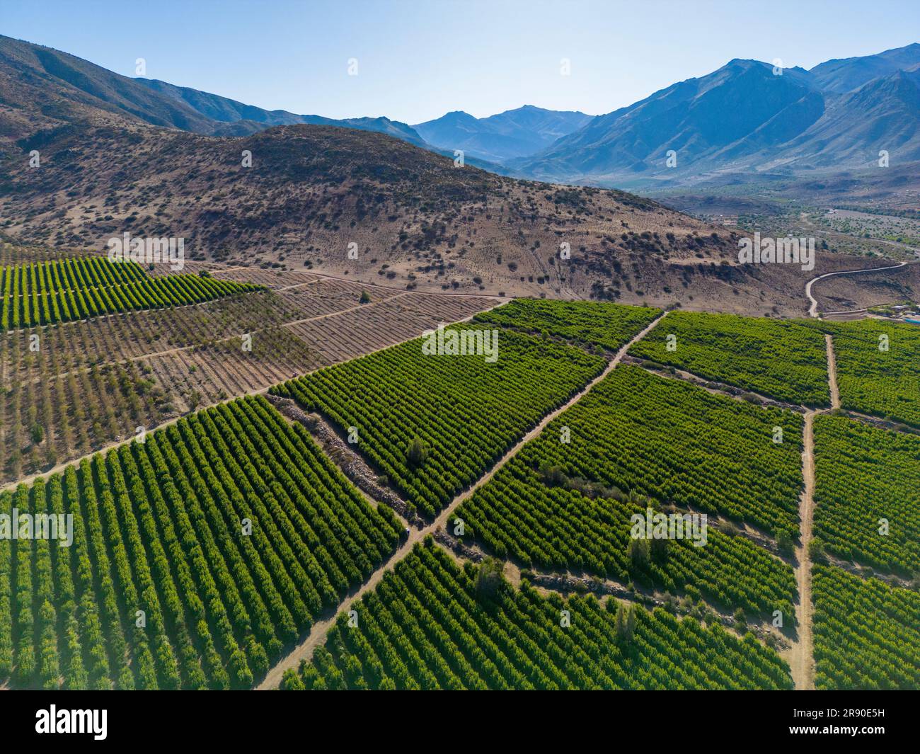 Aerial view of citriculture in Petorca in Chile, South America ...