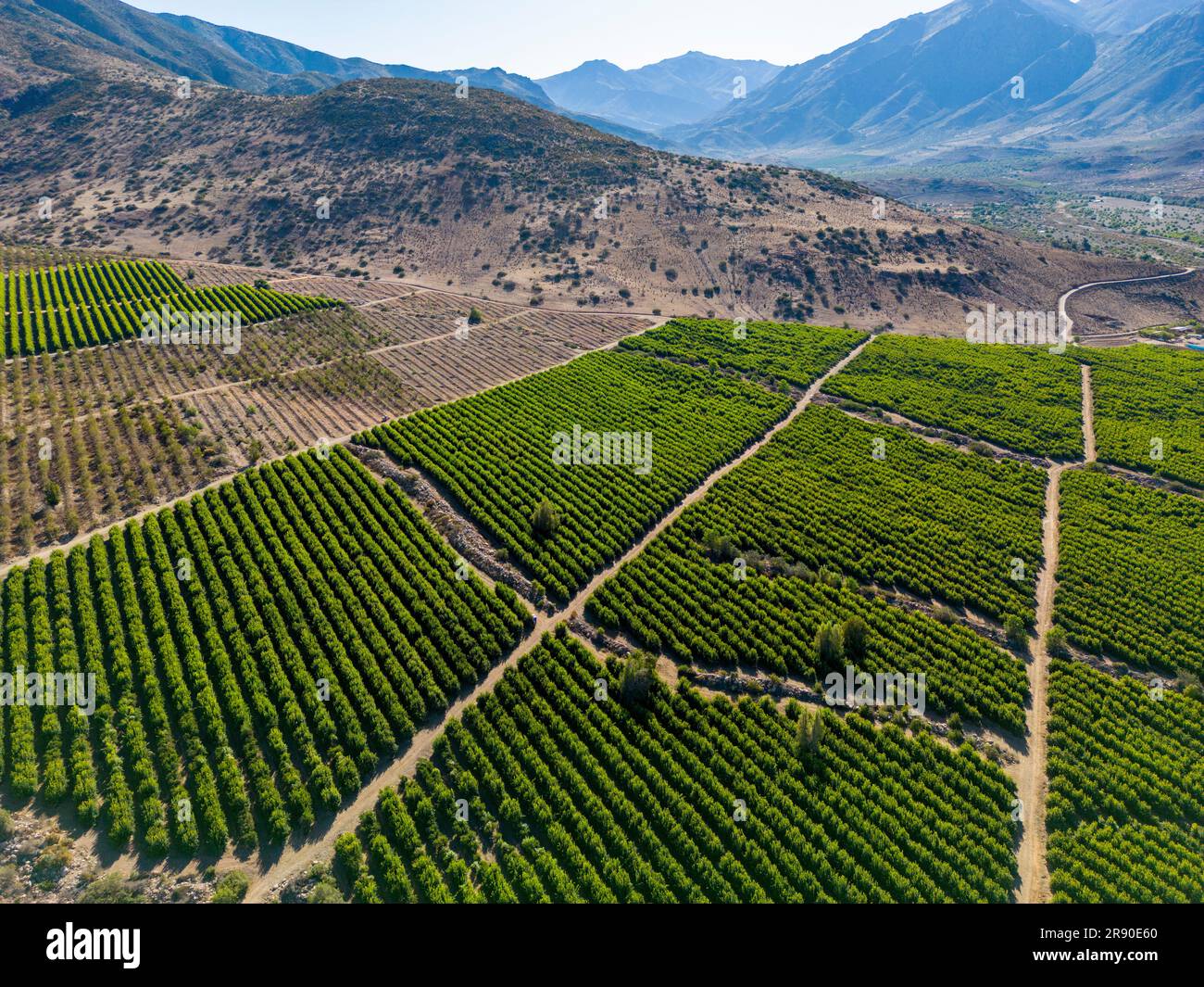 Aerial view of citriculture in Petorca in Chile, South America ...