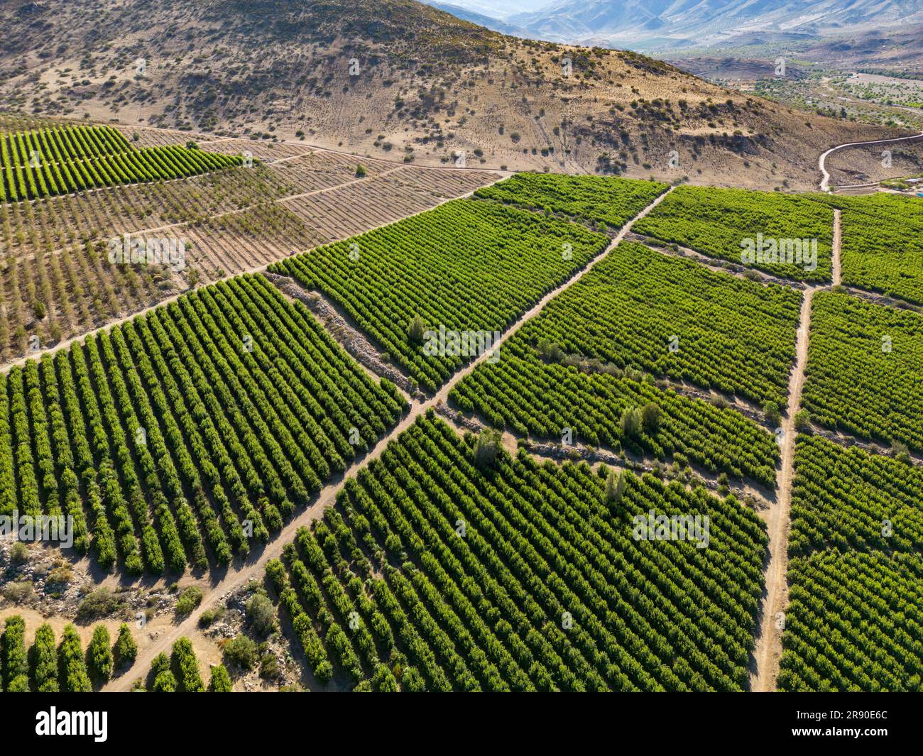 Aerial view of citriculture in Petorca in Chile, South America ...