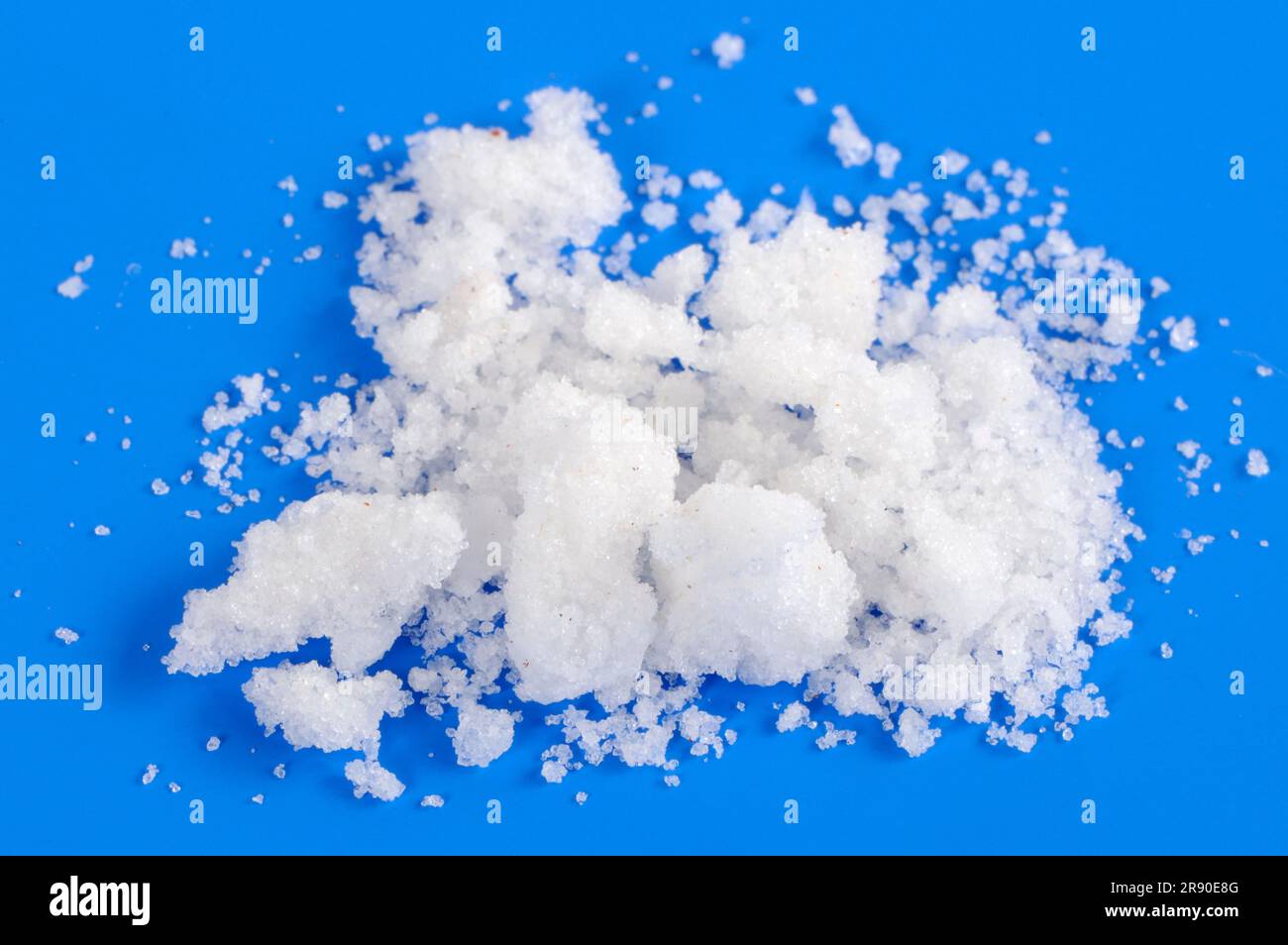 Camphor (Cinnamomum camphora), Cutout, Object Stock Photo - Alamy