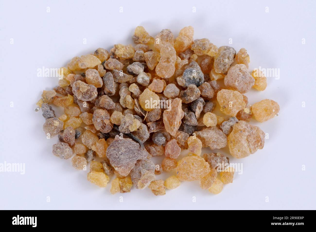 Frankincense resin (Boswellia serrata serrata), incense resin, cut out ...
