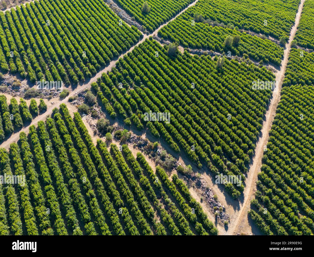 Aerial view of citriculture in Petorca in Chile, South America ...