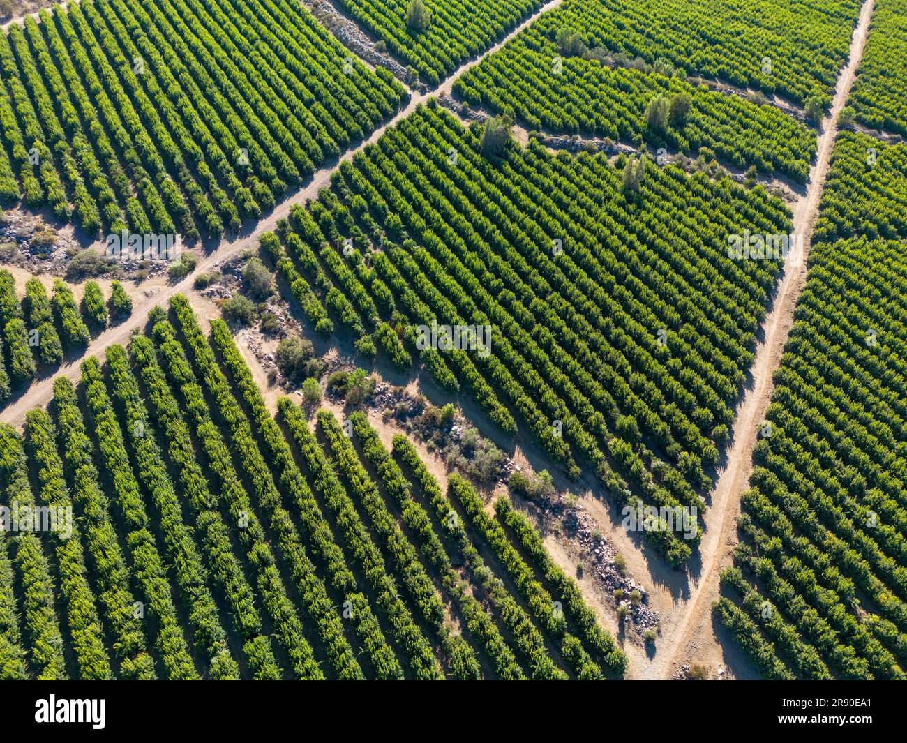 Aerial view of citriculture in Petorca in Chile, South America ...