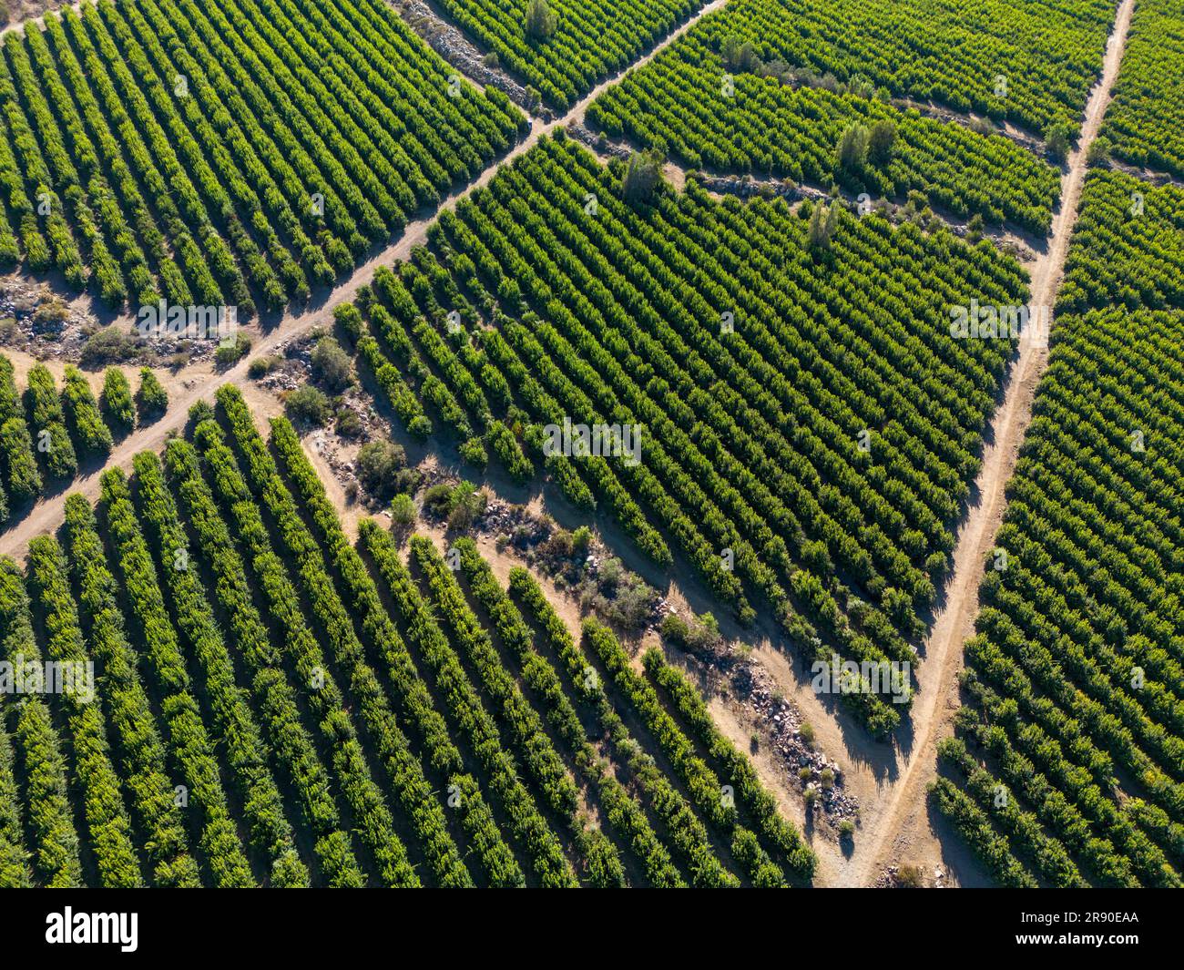 Aerial view of citriculture in Petorca in Chile, South America ...
