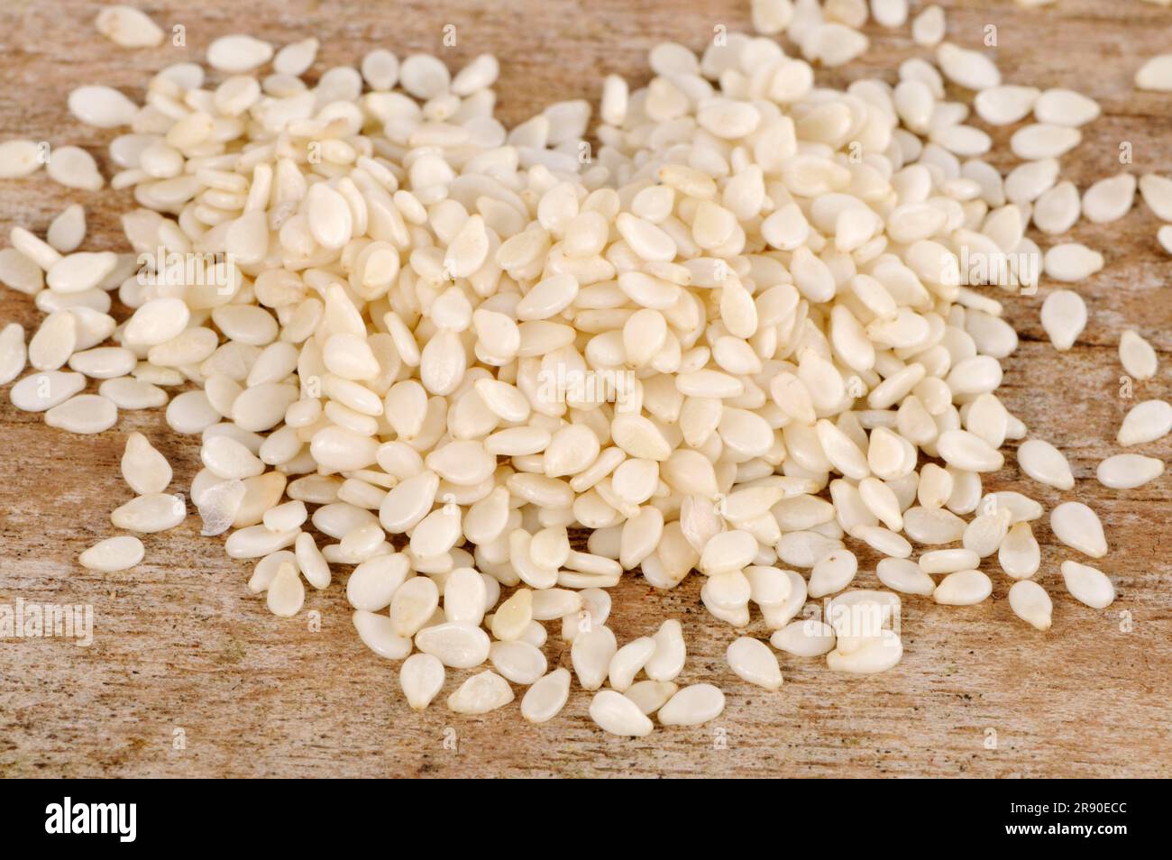 White sesame seed (Sesamum indicum Stock Photo - Alamy