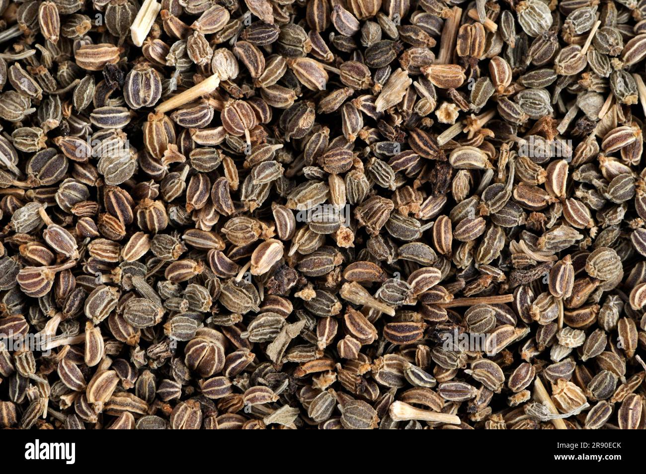 Celery seed hi-res stock photography and images - Alamy