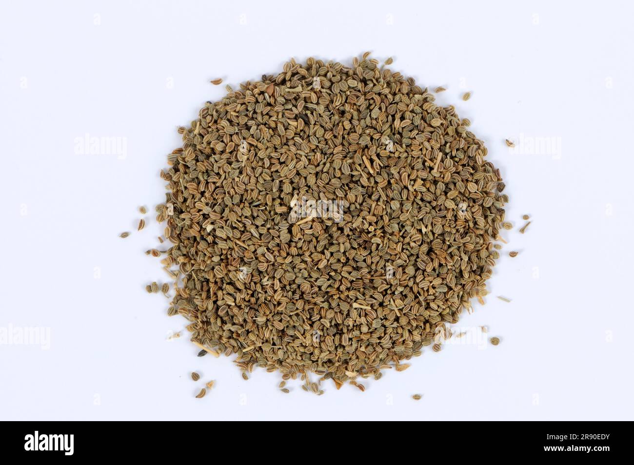 Celery seed hi-res stock photography and images - Alamy