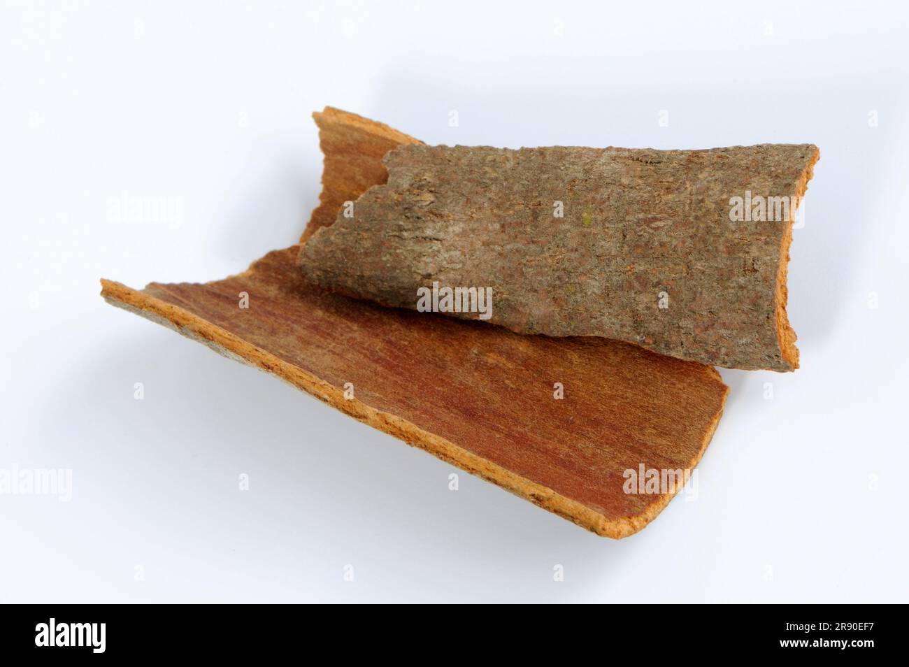 Cinnamon bark hi-res stock photography and images - Alamy