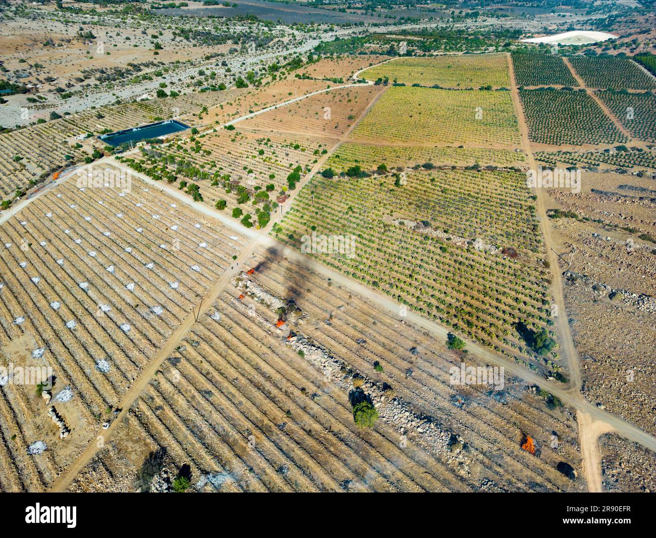 Aerial view of citriculture in Petorca in Chile, South America ...