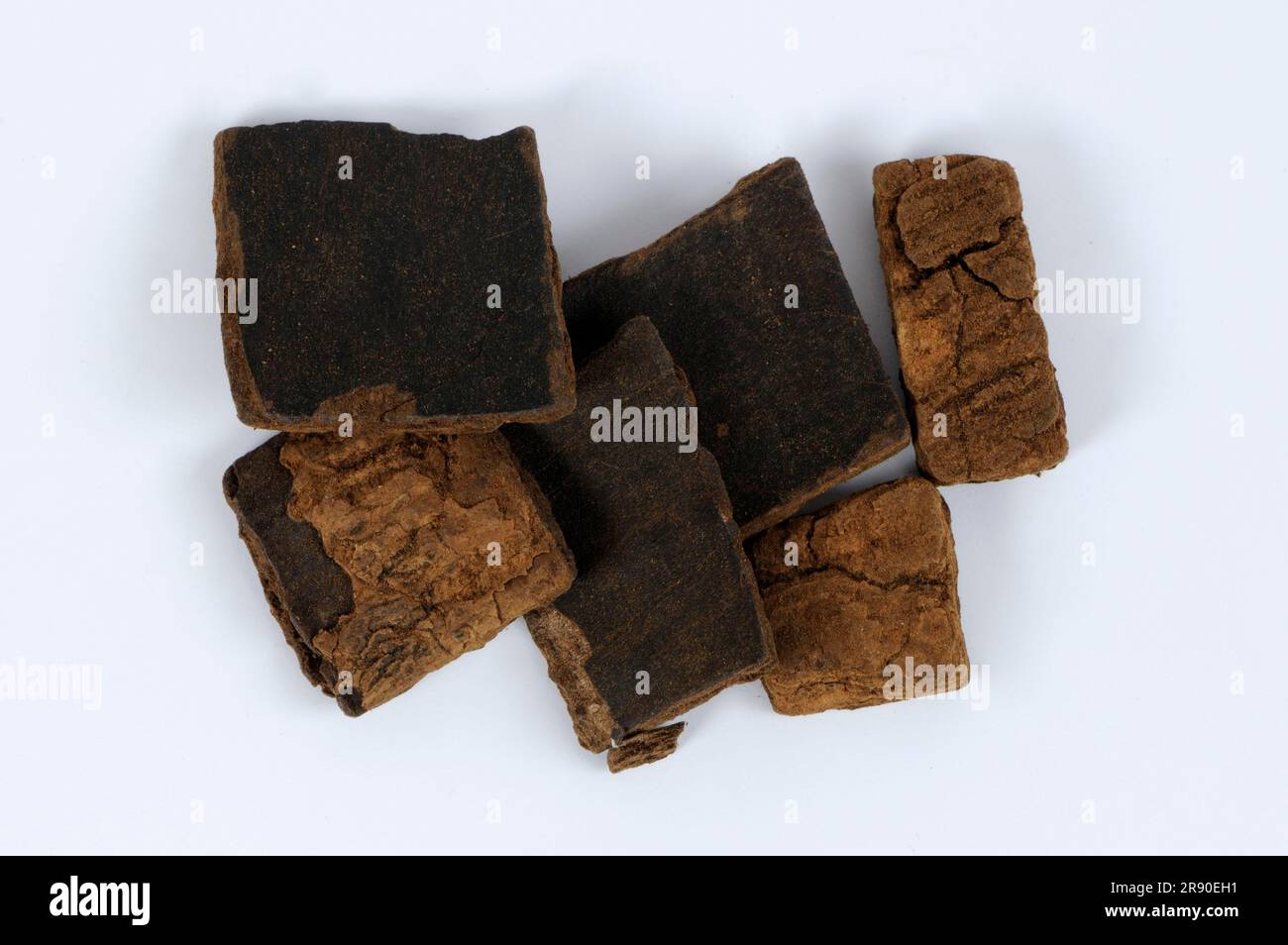 Chinese gutta-percha bark (Eucommiae cortex), Du Zhong, exemplar ...